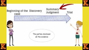 Skeleton Argument for a Case Summary Judgment - Kector Essay Help